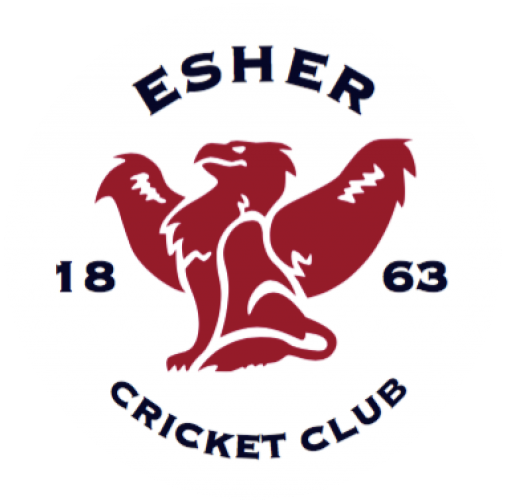 Management Team – Esher Cricket Club